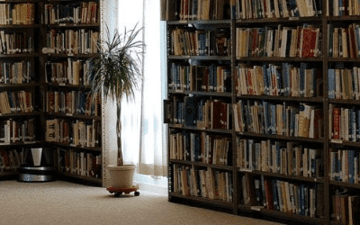 Yogaville Library | Yogaville