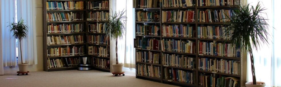 Yogaville Library | Yogaville